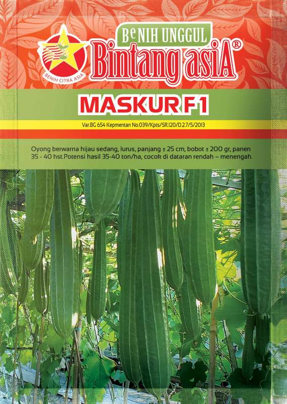 Maskur F1 | Bintang asiA