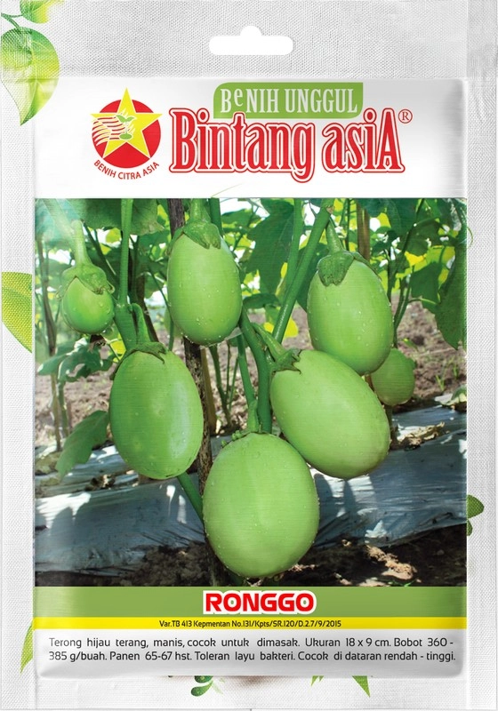 Ronggo | Bintang asiA