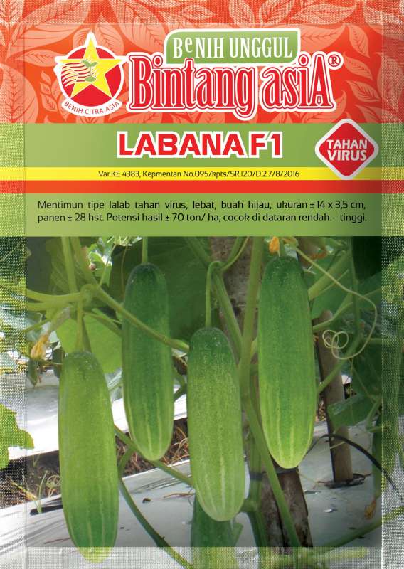 Labana F1 | Bintang asiA