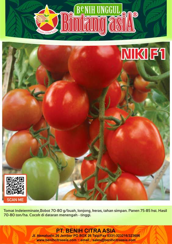 Niki F1 | Bintang asiA