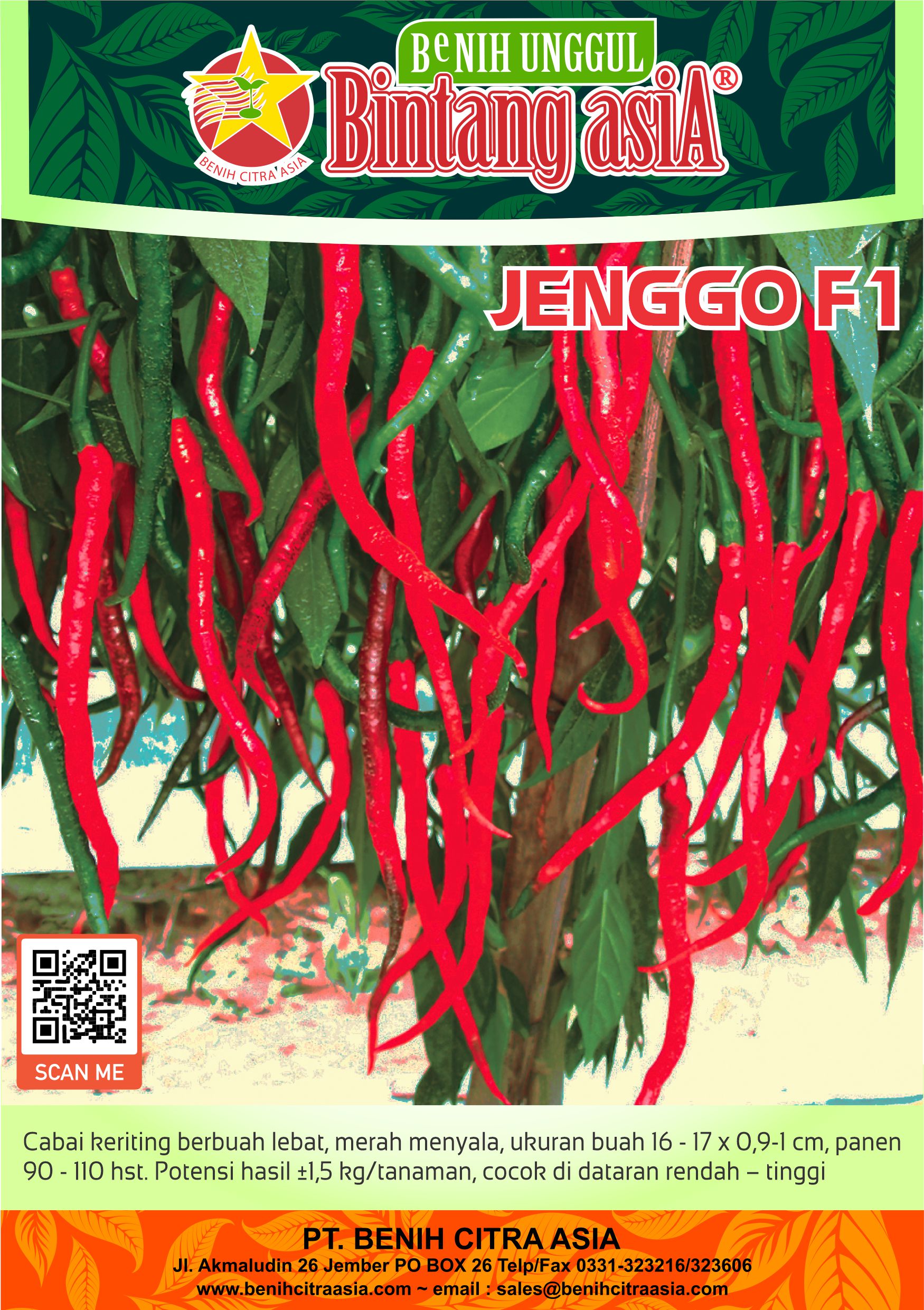 Jenggo F1 | Bintang asiA